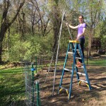 How to Make a Tall PVC Trellis For Your Garden | merrypad